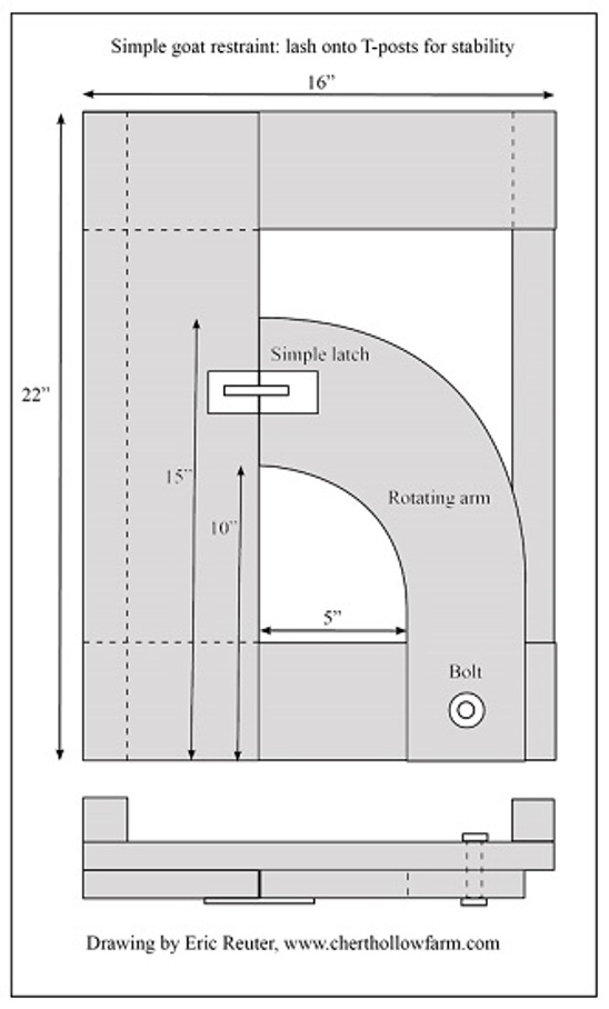 Build a Simple Goat Restraint for Slaughter, Maintenance or Milking ...